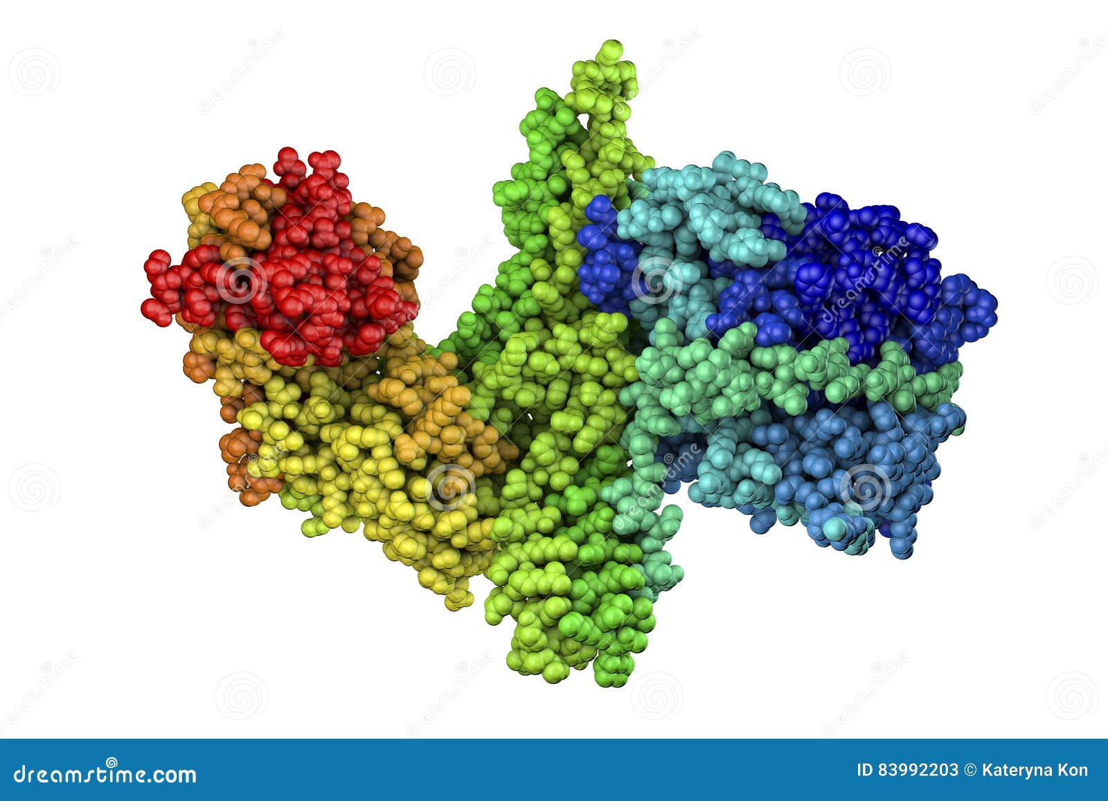 Molecular Model of Botulinum Neurotoxin Stock Illustration ...