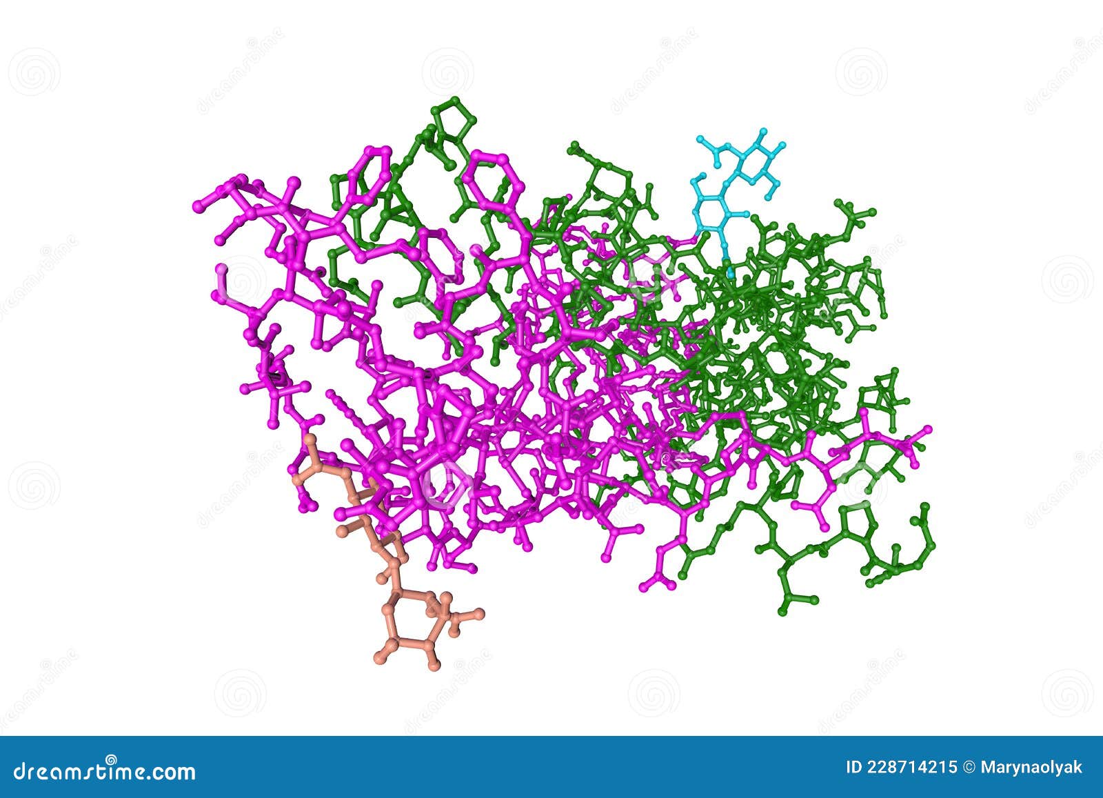 Molecular Model of Human Chorionic Gonadotropin. Rendering with ...