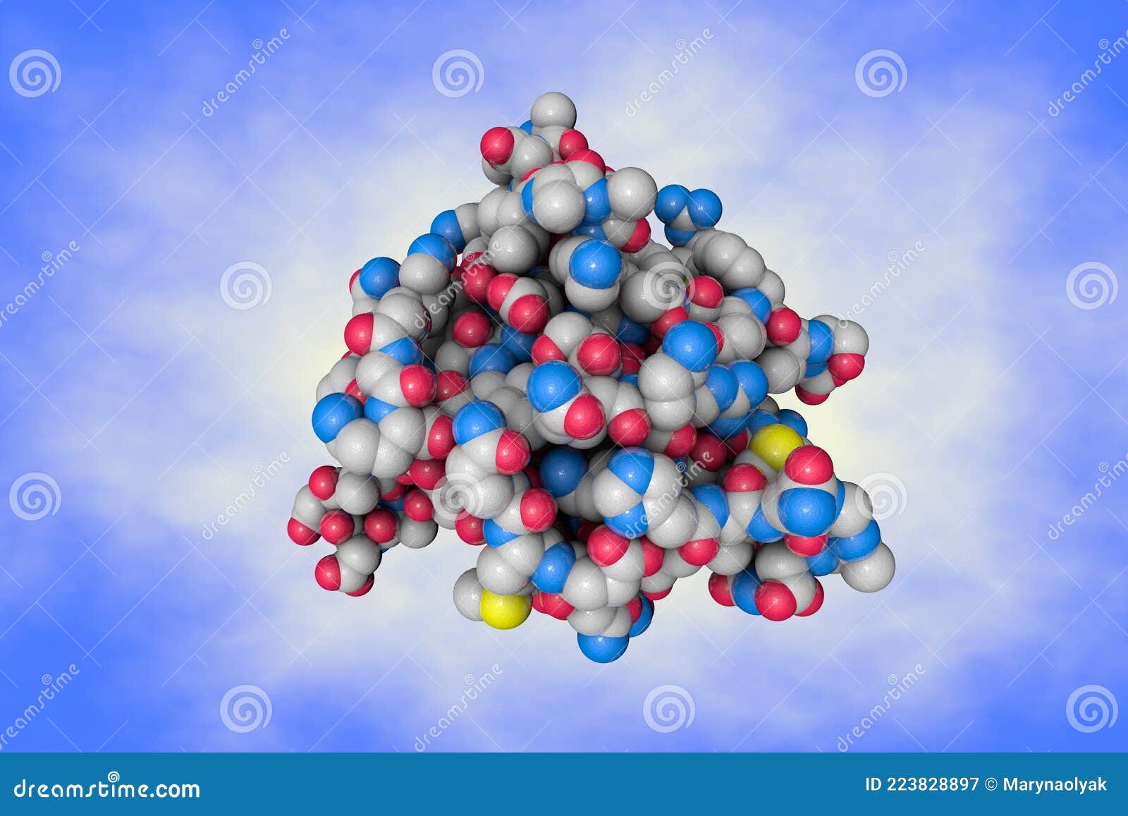 Molecular Model of Human Interleukin 1 Beta. Atoms are Represented As ...