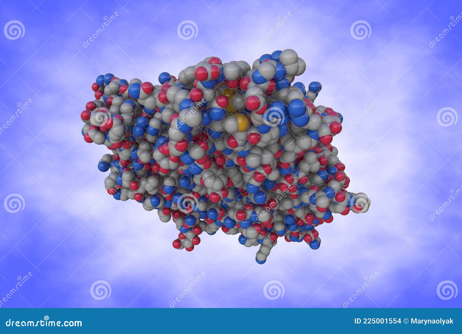 Molecular Model of Human Interleukin-2 in Complex with Interleukin-2 ...