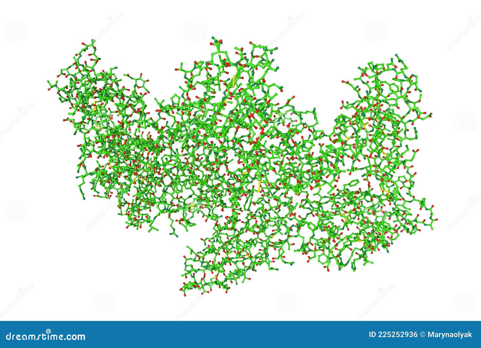Molecular Model of Human Interleukin-3 (IL-3) in Complex with Receptor ...