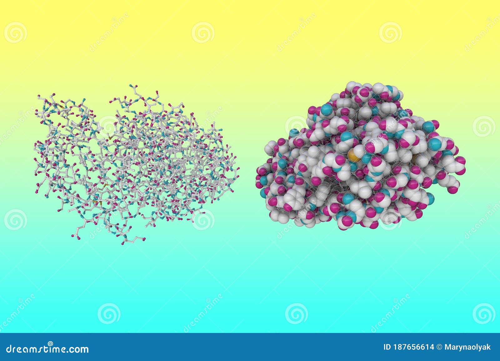 Pepsin Enzyme Stomach Pepsin Enzyme Stomach