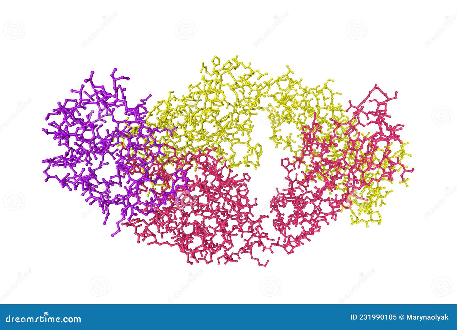 Molecular Model of Interleukin-16 Bound To the 14.1 Antibody Isolated ...