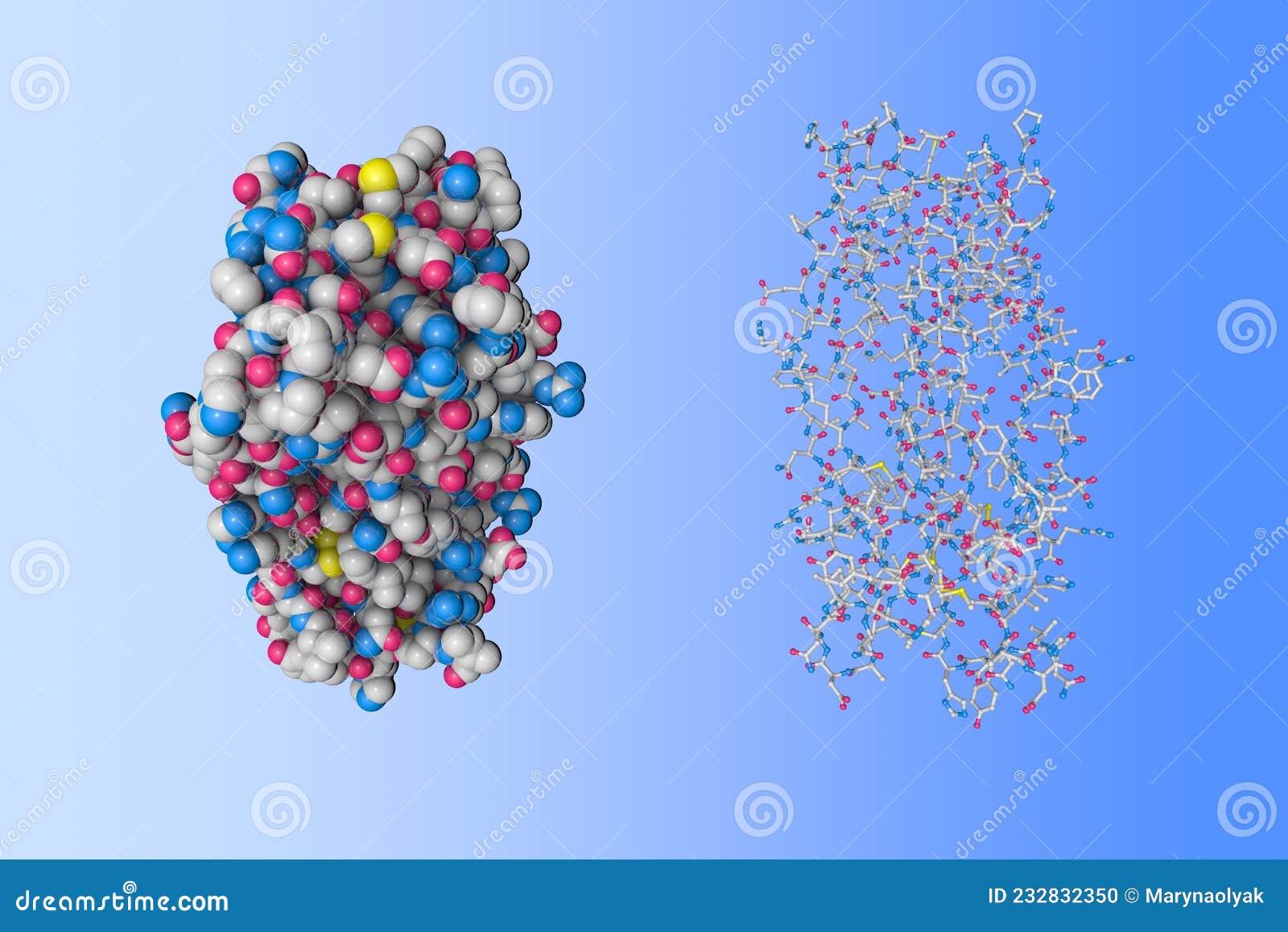 Interleukin 8 (IL-8) Cytokine Protein. IL8 Can Be Secreted By ...
