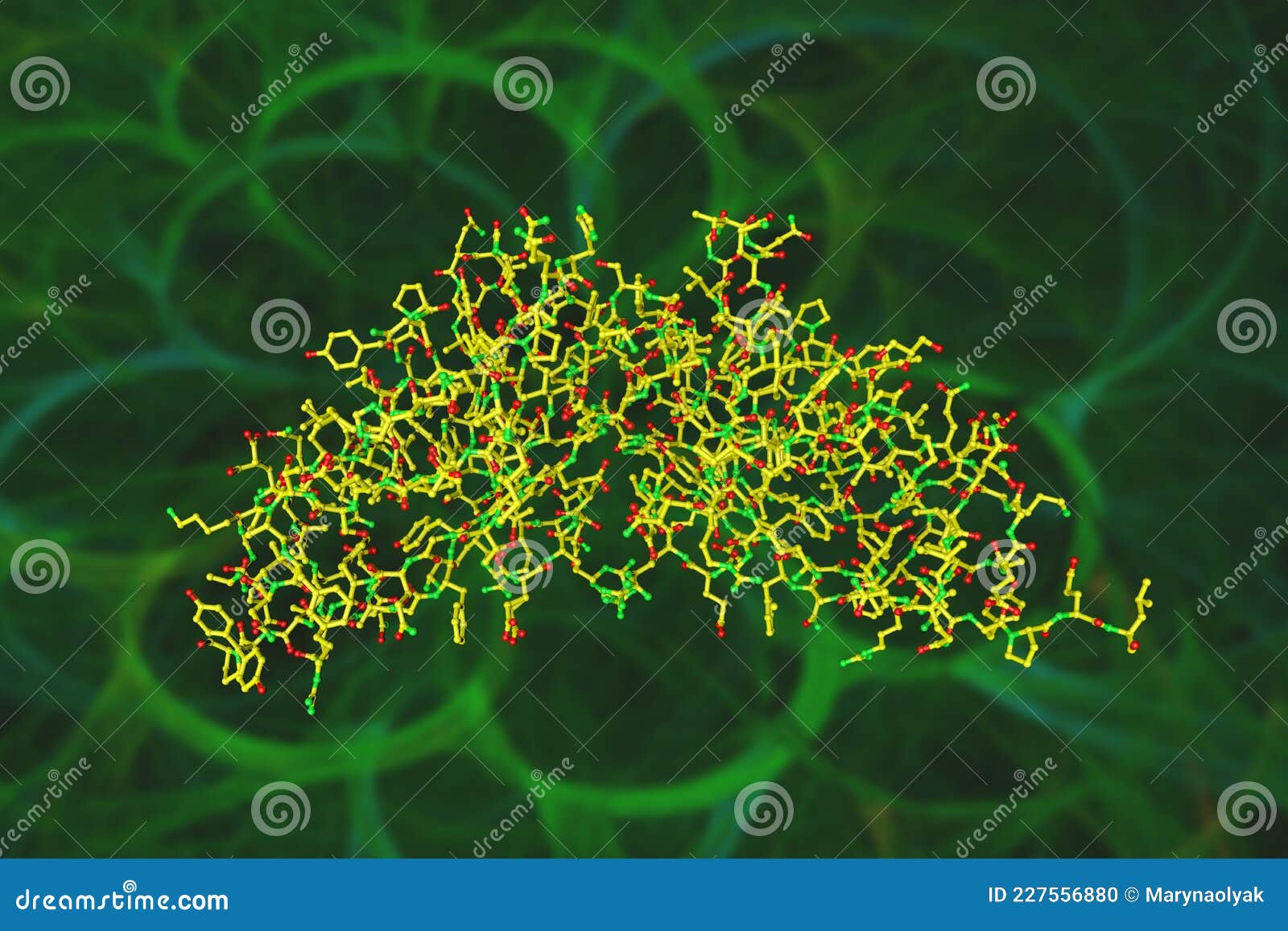 Molecular Structure of the N-terminal Domain of Carcinoembryonic ...