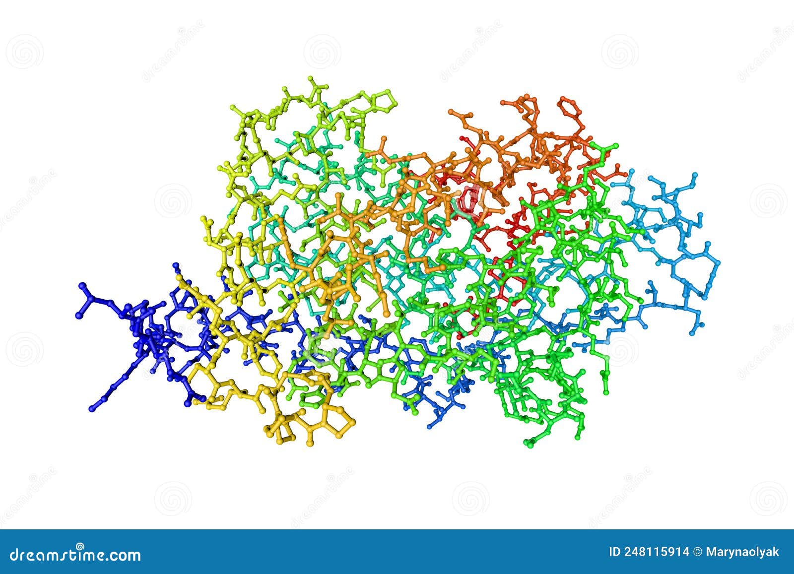 Molecular Model of the Nuclear Receptor for Vitamin D in Complex with ...