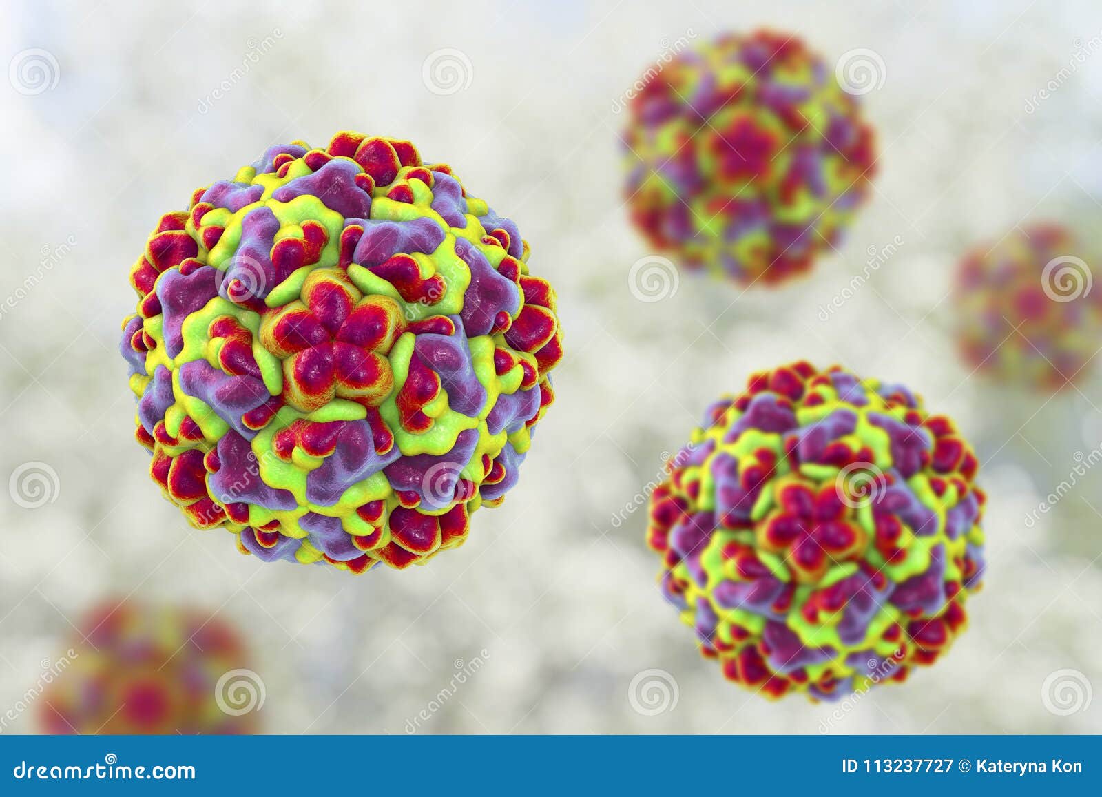 Human Rhinovirus 16. Rhinoviruses Are The Main Cause Of The Common Cold ...