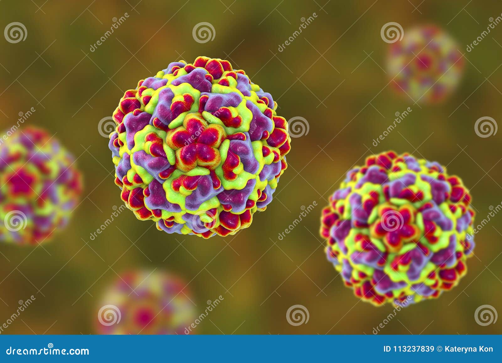 Molecular Model of Rhinovirus, the Virus that Causes Common Cold and ...