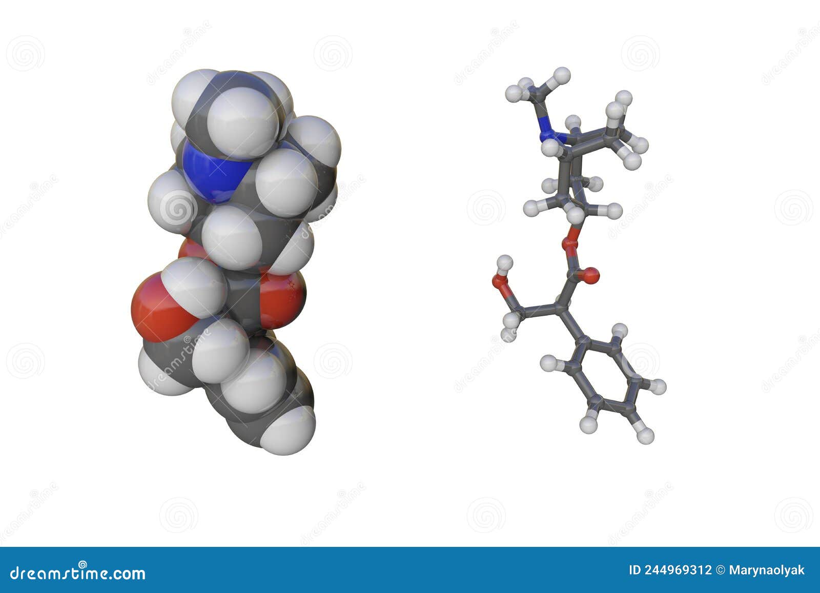 Molecular Models of Atropine. Atoms are Shown As Spheres with ...