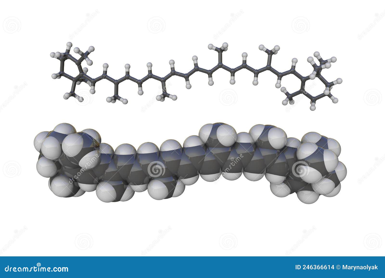 Molecular Models Of Beta-carotene. Atoms Are Shown As Spheres With ...