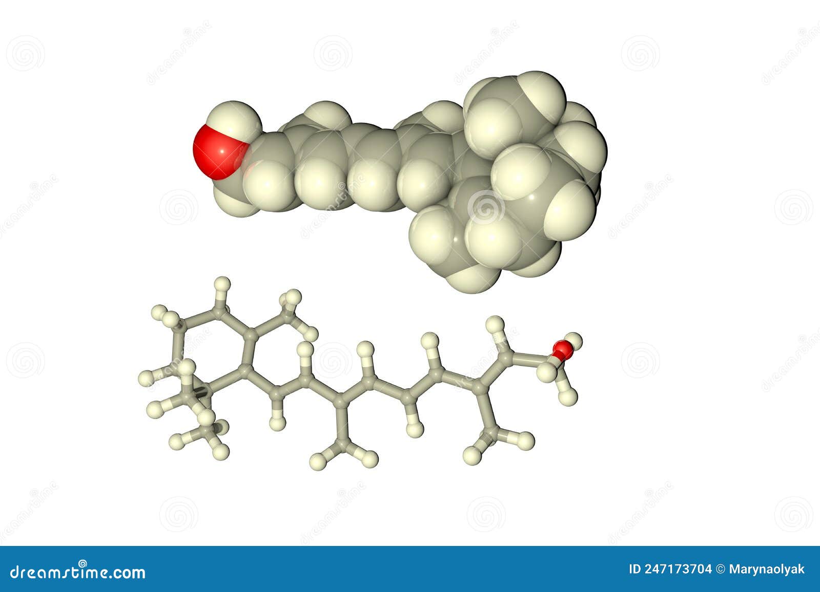 Molecular Models of Retinol. Atoms are Represented As Spheres with ...