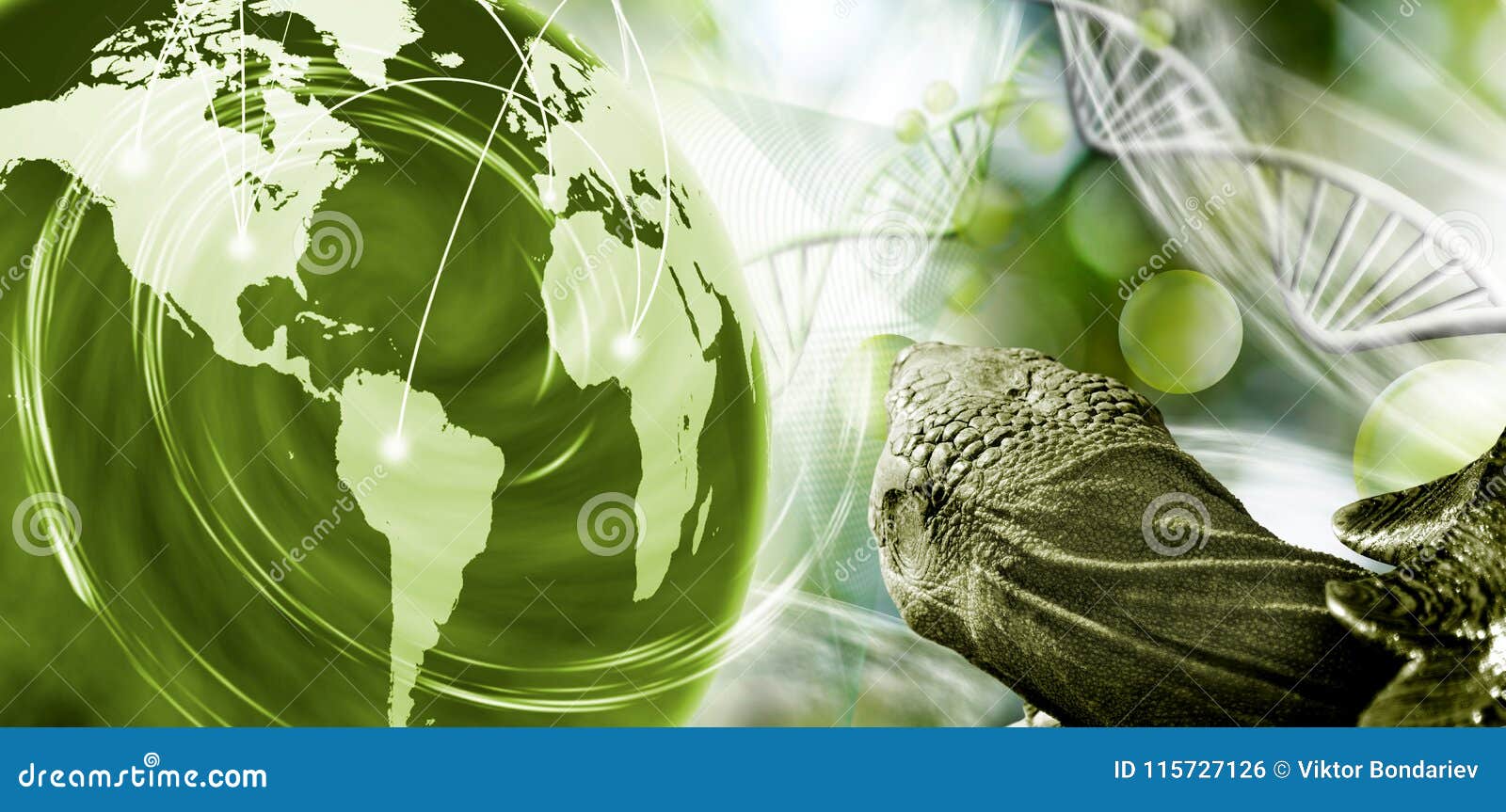 Molecular Structure,chain of Dna, Abstract Planet and Turtle on a Green ...