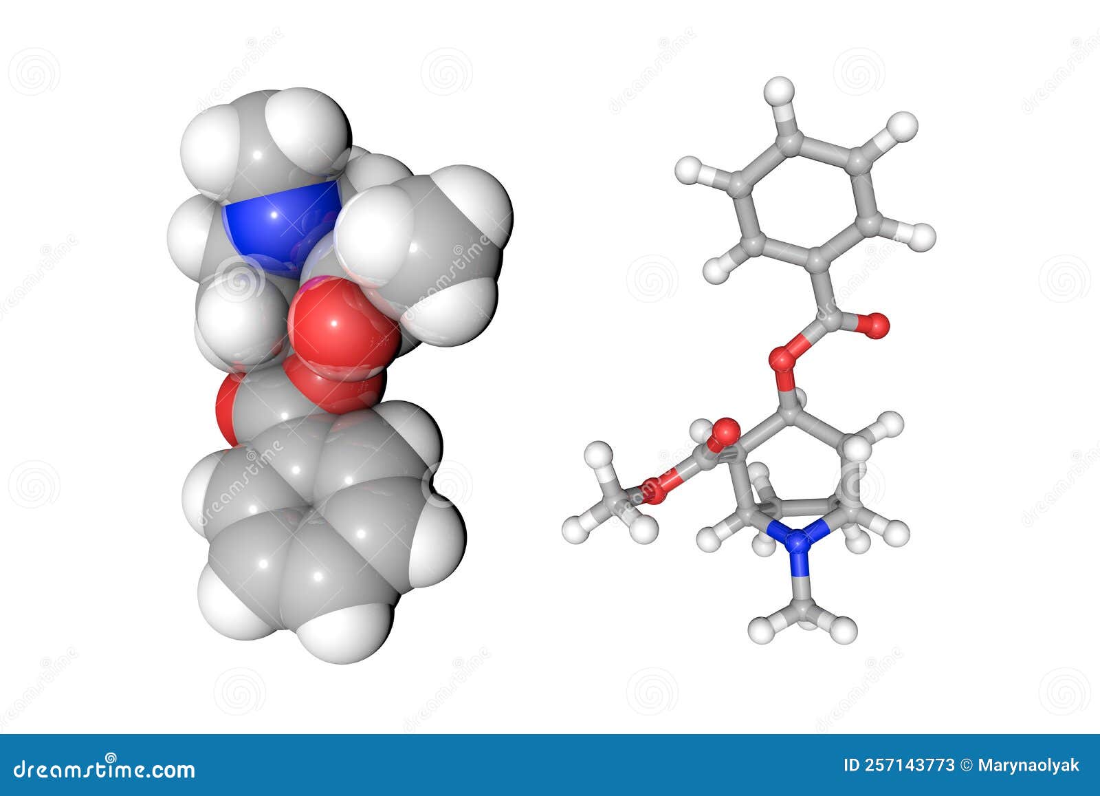 Molecular Structure of Cocaine. Atoms are Represented As Spheres with ...