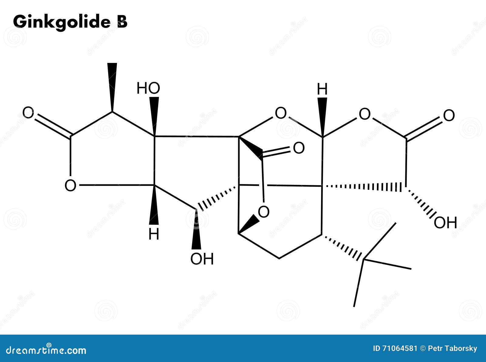 Molecular Structure of Ginkgolide B (Ginkgo Biloba Tree) Stock ...