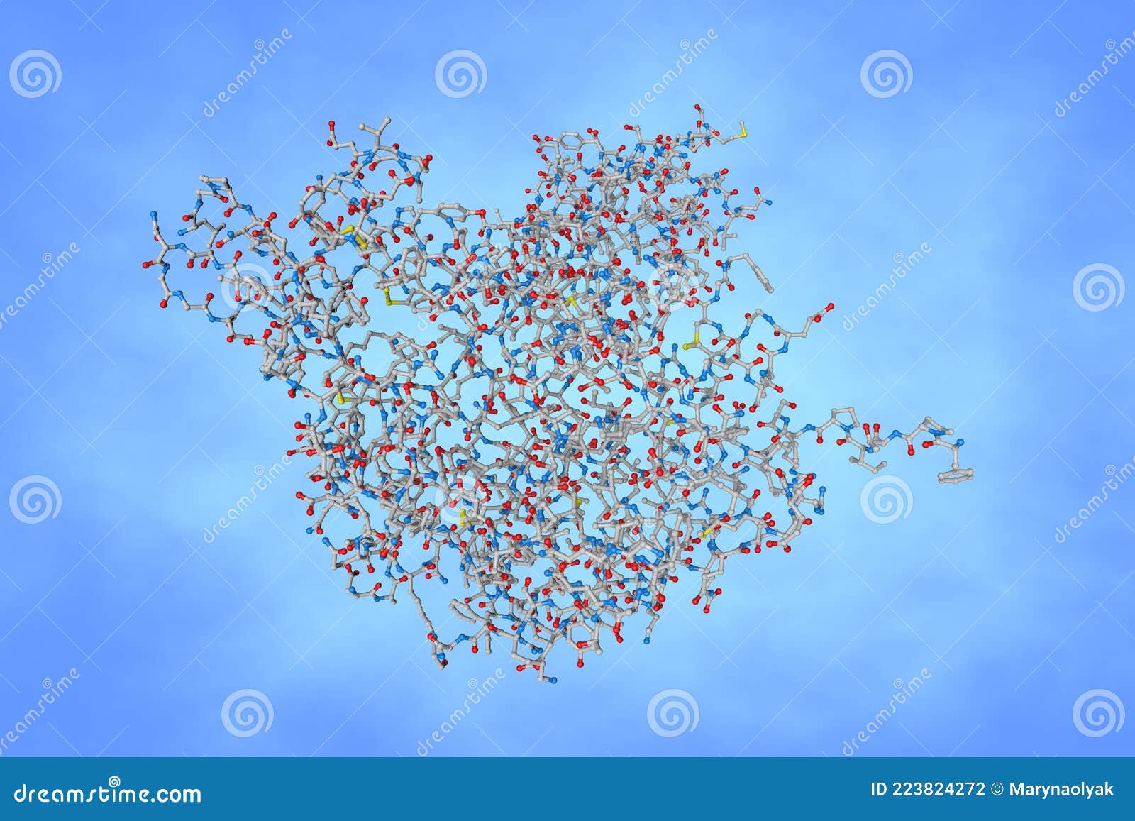 Molecular Structure of Human Growth Hormone Bound To Single Receptor ...