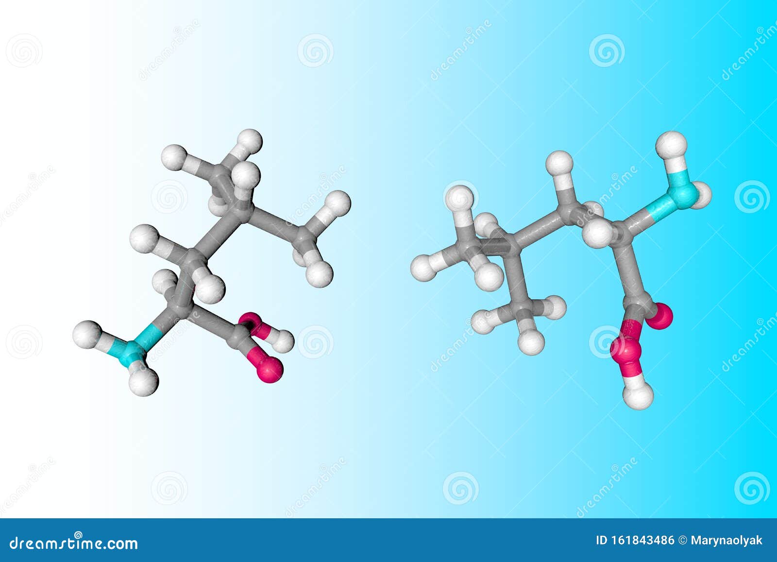 Molecular Structure of L-leucine or Leucine. Atoms are Represented As ...