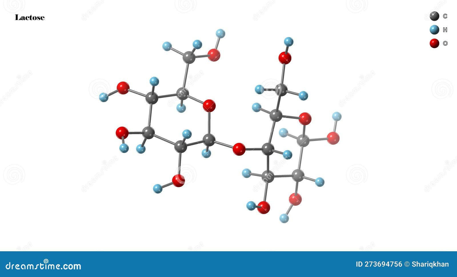 Lactose Structure Diagram