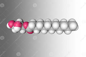 Molecular Structure of Monolaurin. Atoms are Represented As Spheres ...