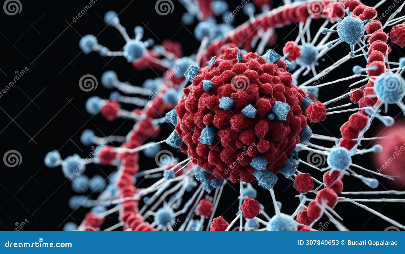 Molecular Structure of a Virus, a Complex Assembly of Proteins and ...