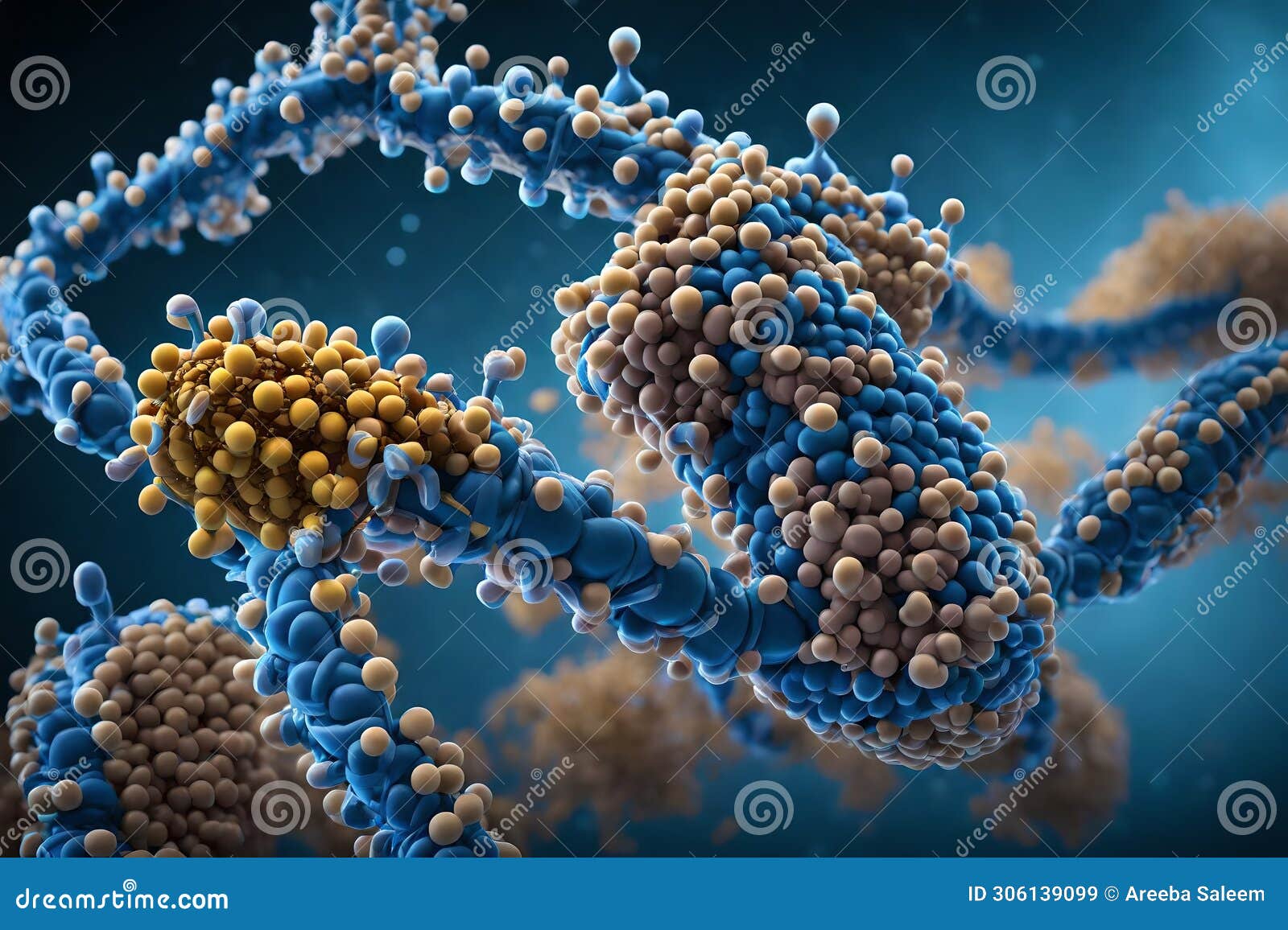 A Molecular View of Telomeres at the End of a Chromosome, Stock ...