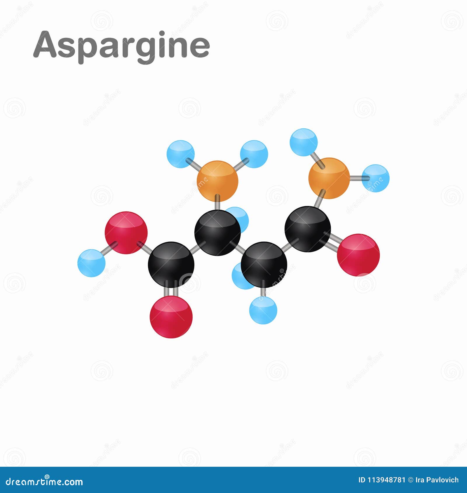 Molecular Omposition and Structure of Asparagine, Asn, Best for Books ...