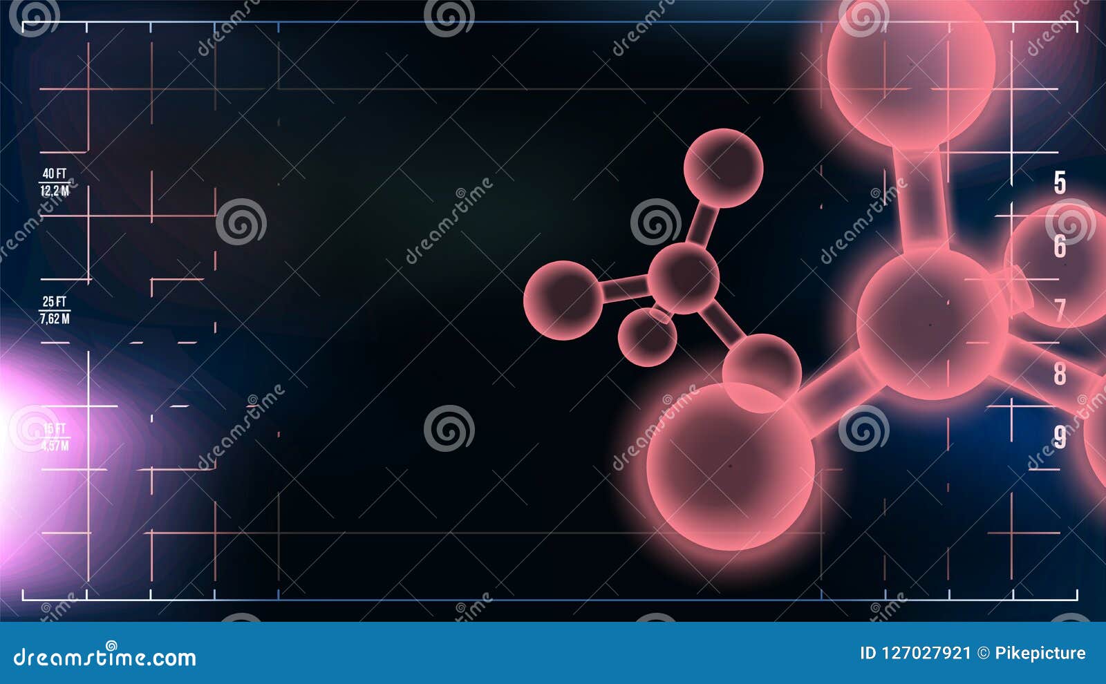 Structure Of Nuclear And Endoplasmic Reticulum In An Animal Cell, 3d ...
