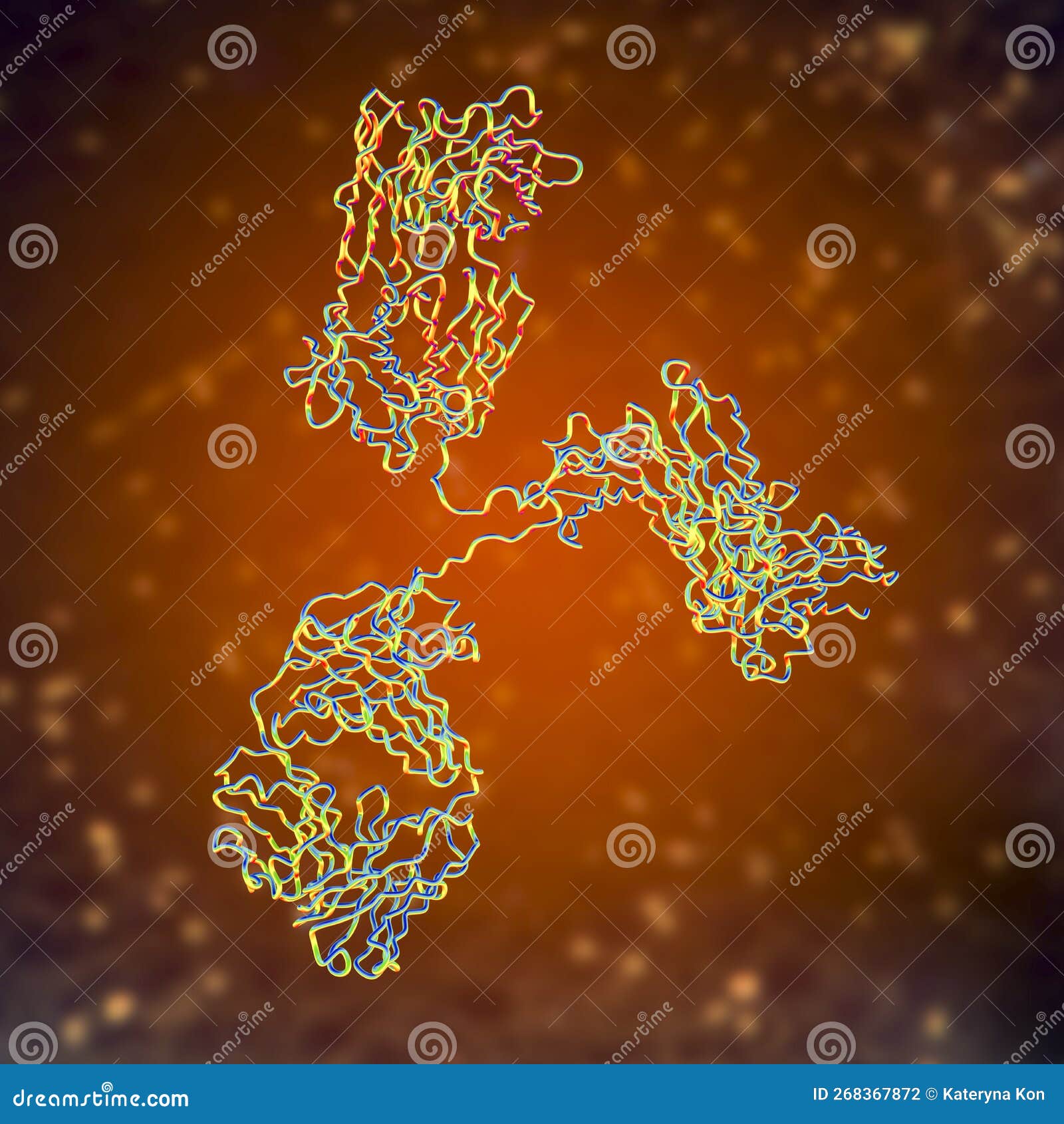 Molecule of Immunoglobulin Antibody, 3D Illustration Stock Illustration ...