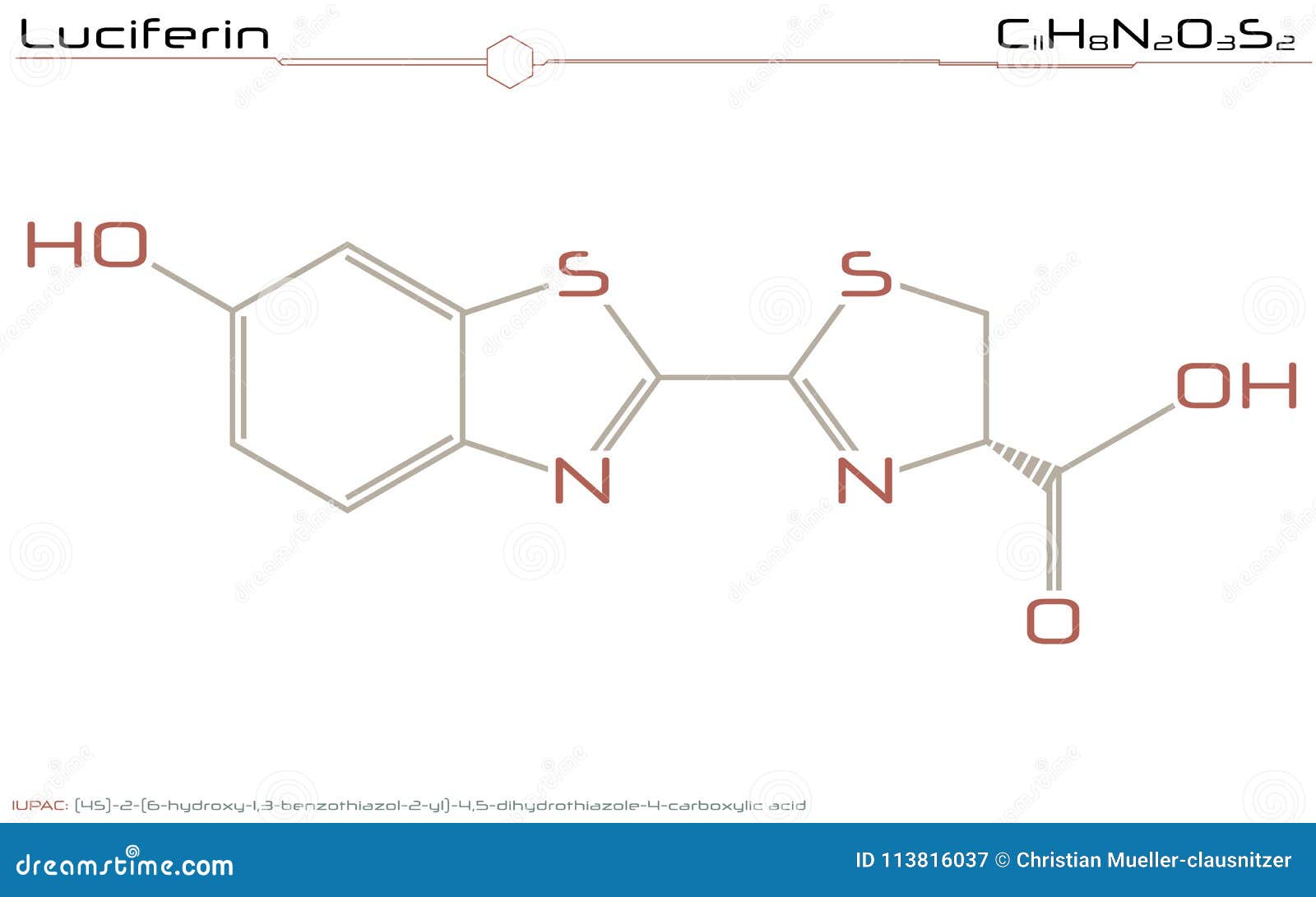 Molecule of Luciferin stock vector. Illustration of brown - 113816037