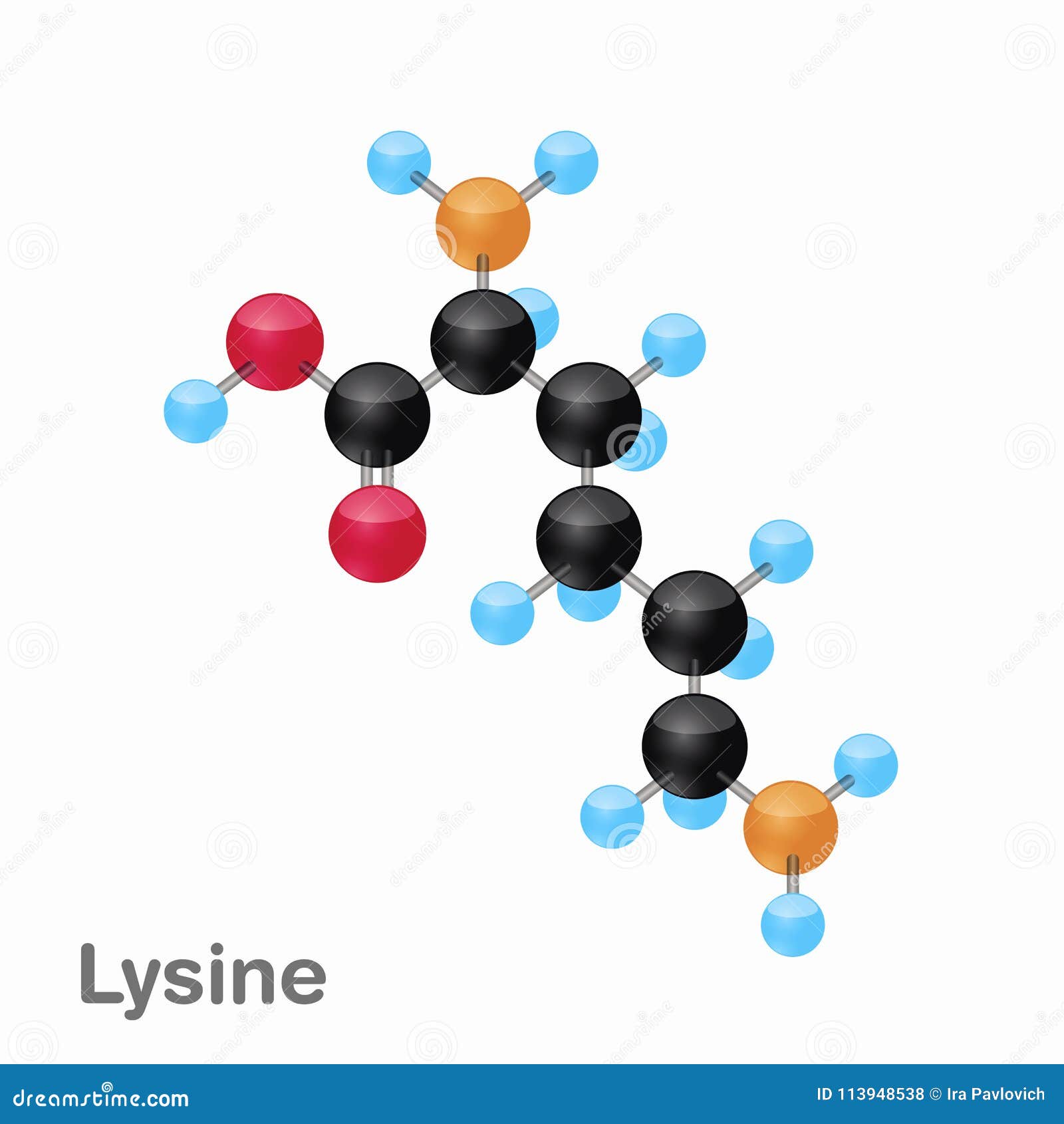 Lysine Structure