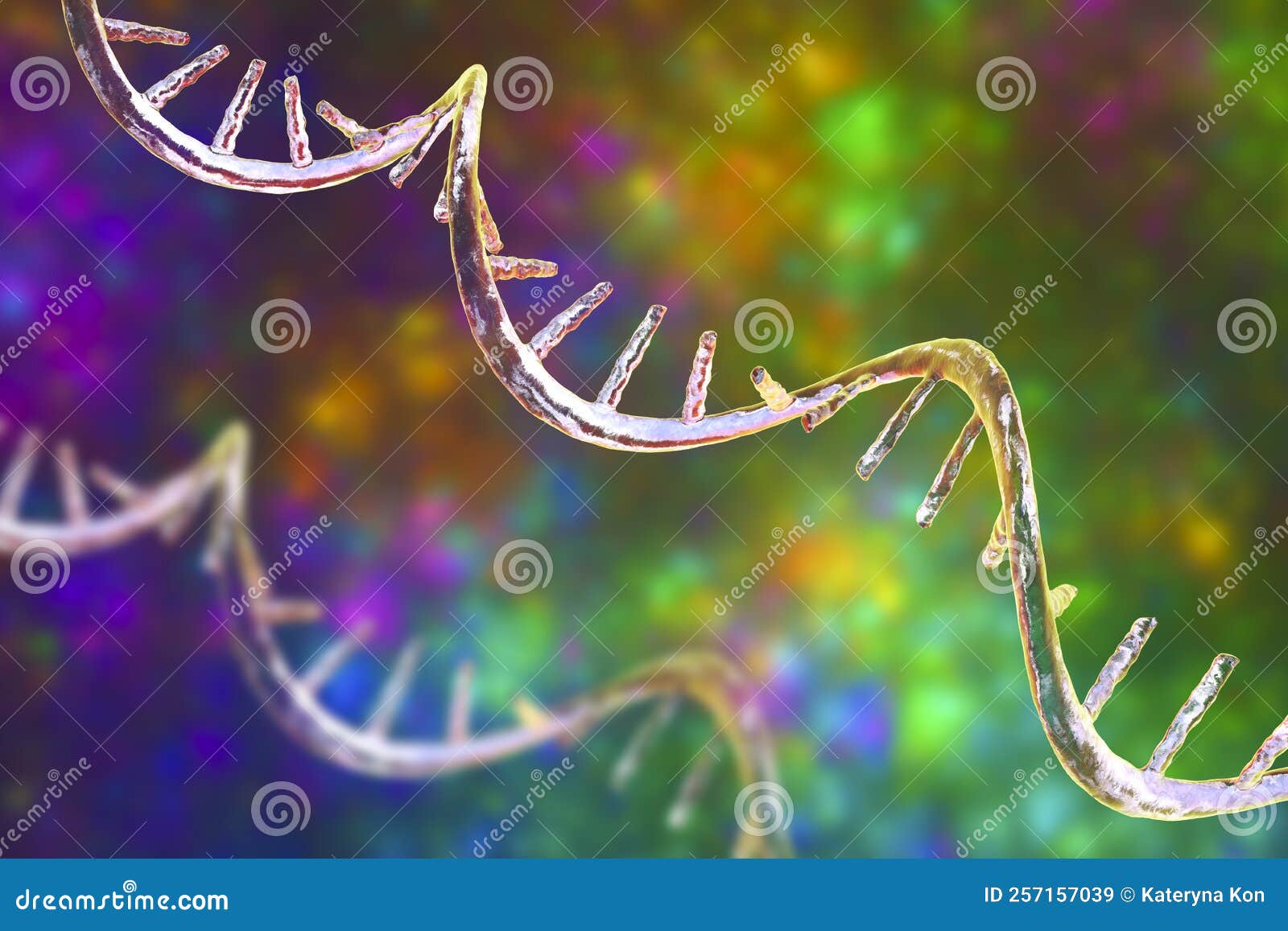 Molecule Of MRNA, 3D Illustration | CartoonDealer.com #257157039