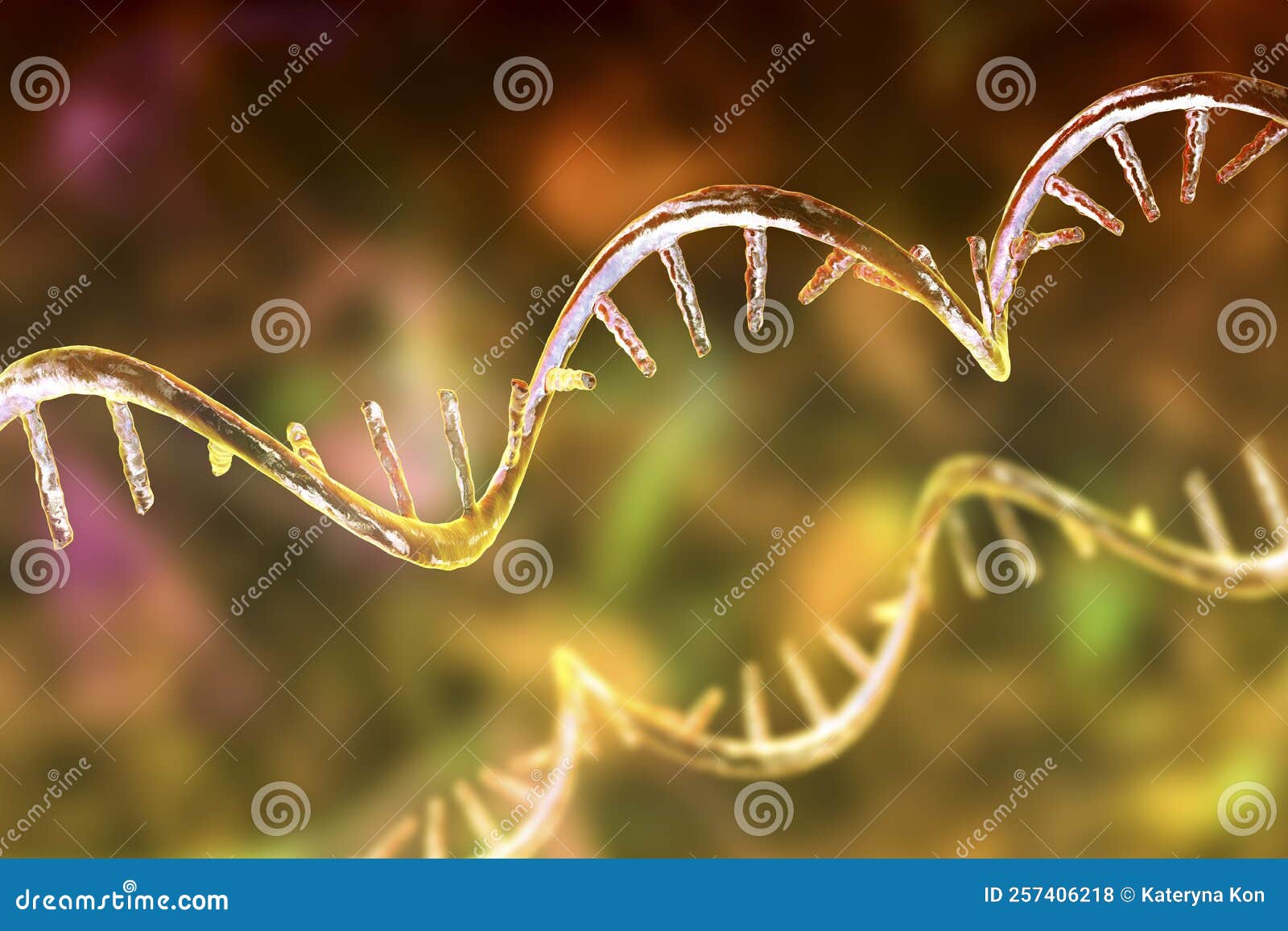 Molecule of MRNA, 3D Illustration Stock Illustration - Illustration of ...