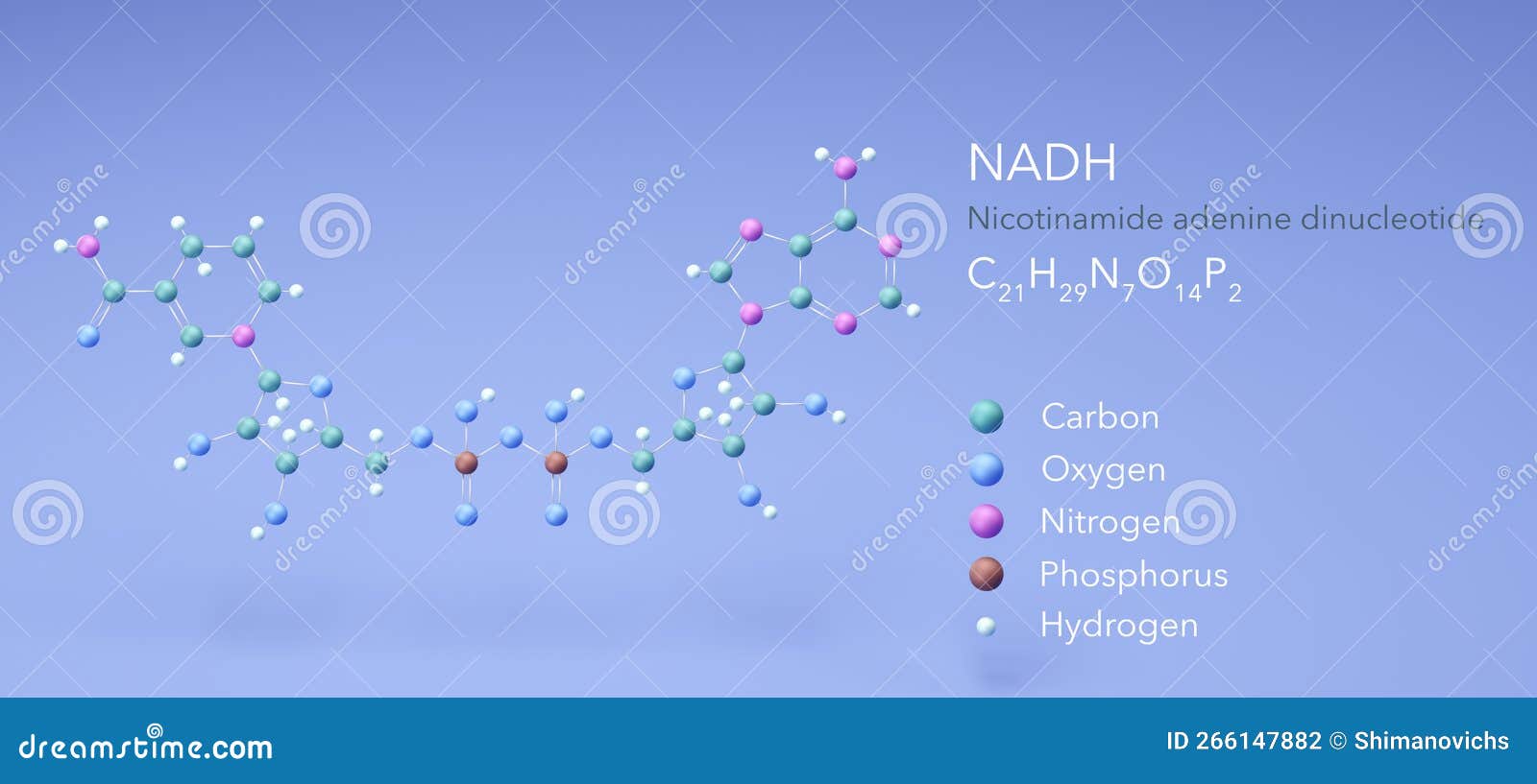 Molecule Nadh, Molecular Structures, 1,4-Dihydronicotinamide Adenine ...