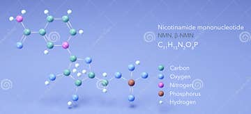 Molecule Nicotinamide Mononucleotide, Molecular Structures, NMN, Beta ...