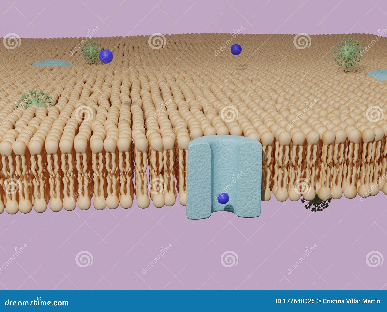 Molecule Passing through a Protein Channel and Virus Passing through a ...