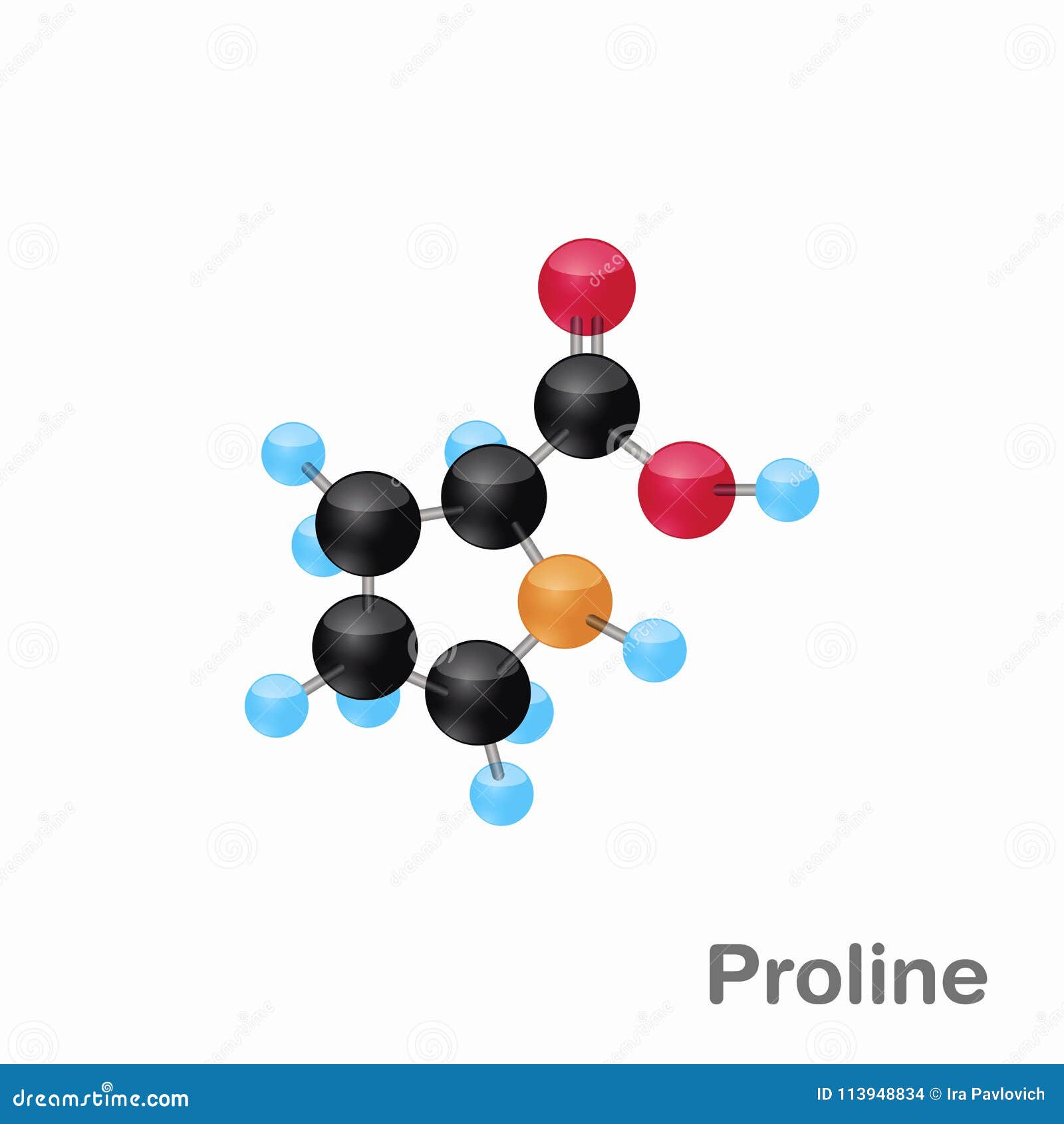 Molecule Of Proline, Pro, An Amino Acid Used In The Biosynthesis Of ...
