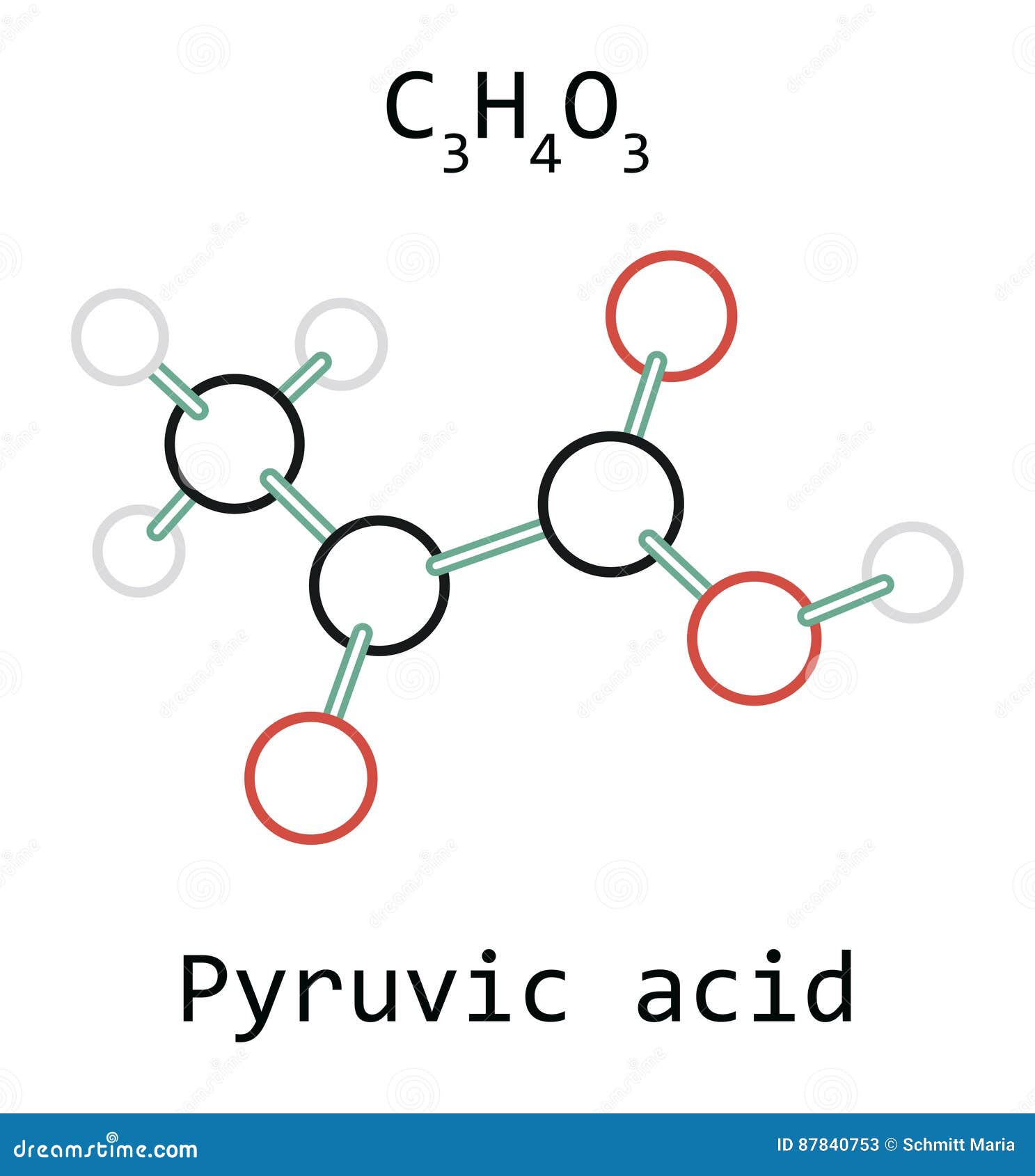 Pyruvic Acid Molecule