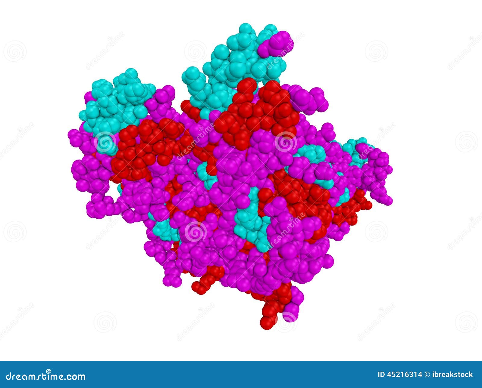 Molecule Structure of Ebola Virus VP40 Dimer Protein Stock Illustration ...