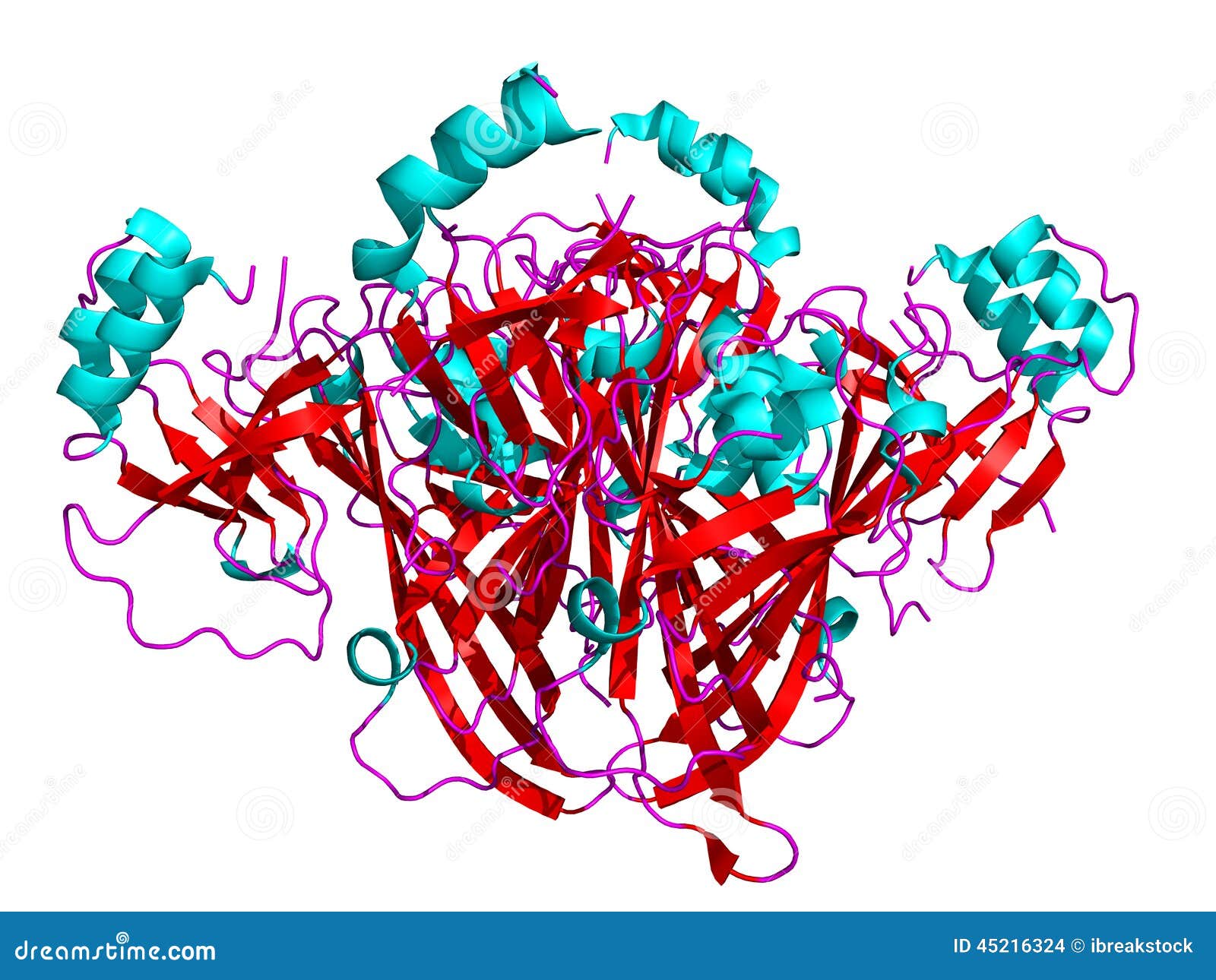 Molecule Structure of Ebola Virus VP40 Dimer Protein Stock Illustration ...