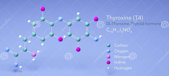 Molecule Thyroxine, Molecular Structures, Thyroid Hormone 3d Model ...