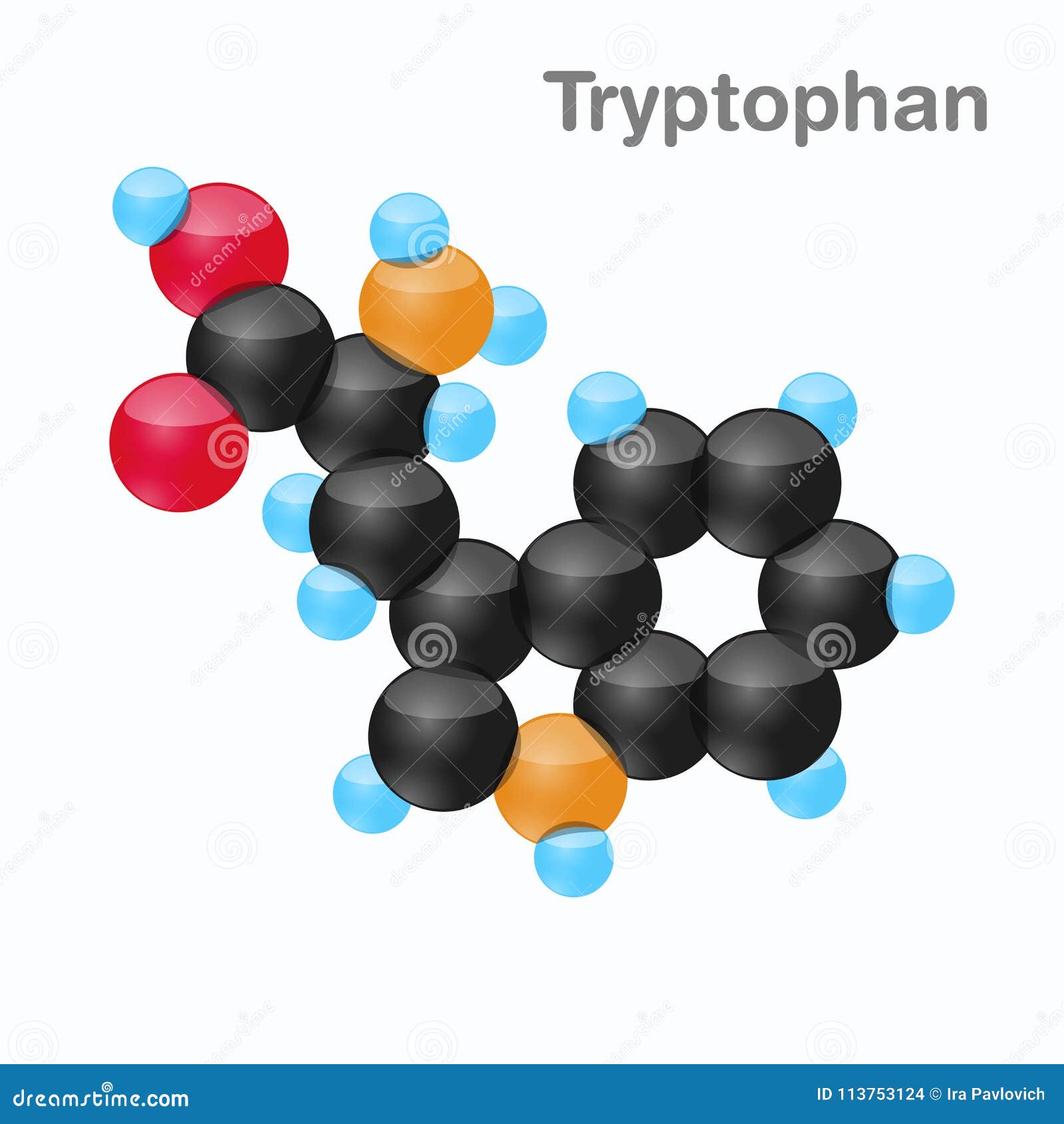 Tryptophan L-tryptophan, Trp, W Amino Acid Molecule. Cartoon Vector ... Tryptophan L-tryptophan, Trp, W Amino Acid Molecule. Cartoon Vector ...