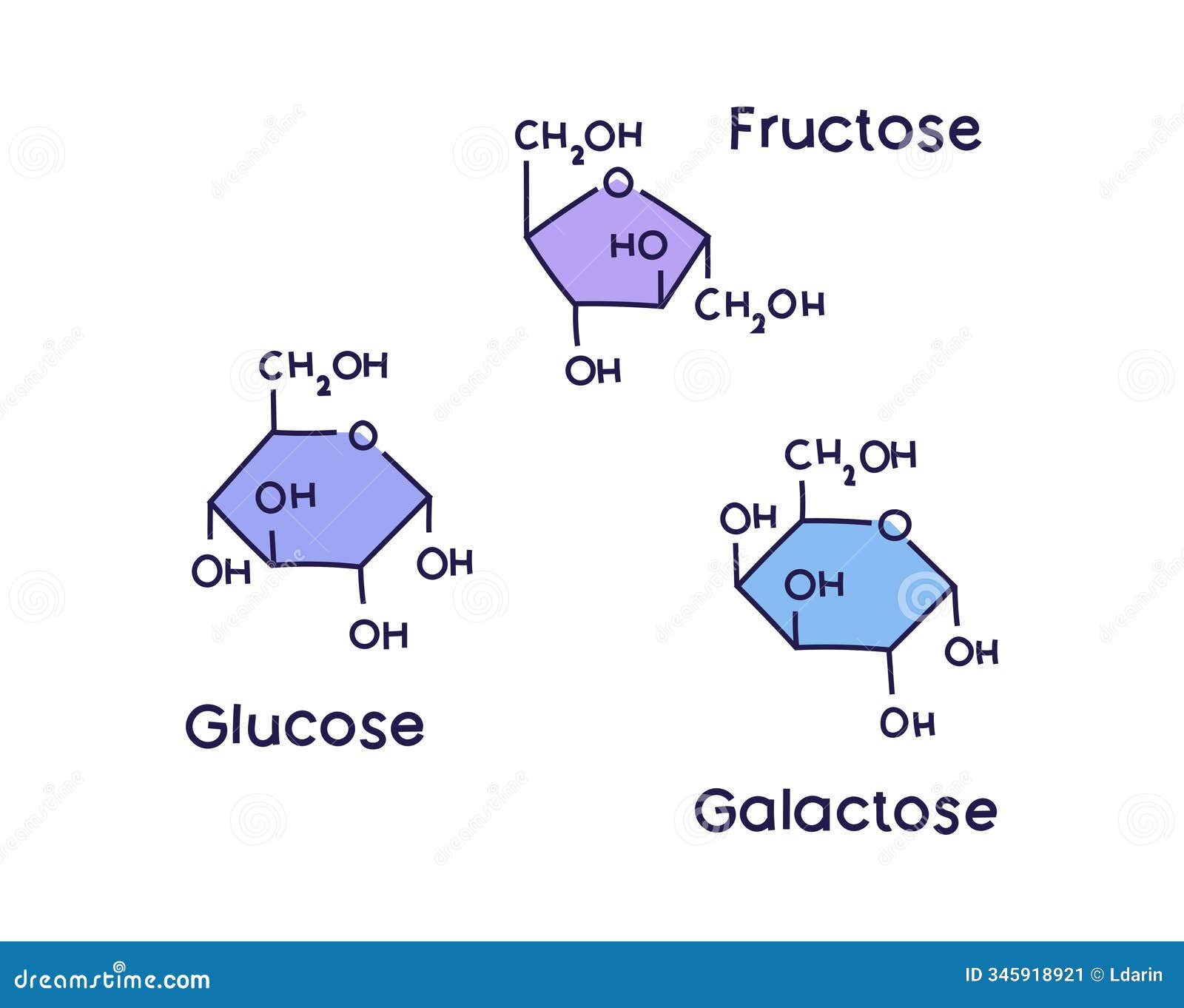 Vector Illustration of Monosaccharides. Glucose, Fructose, Galactose ...