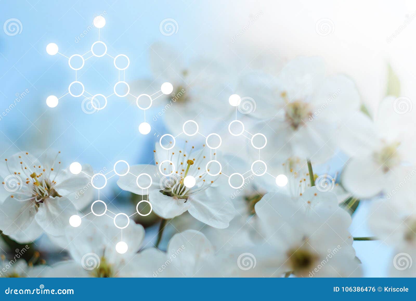 Molecules on a Background of Flowers and Plants Stock Photo - Image of ...
