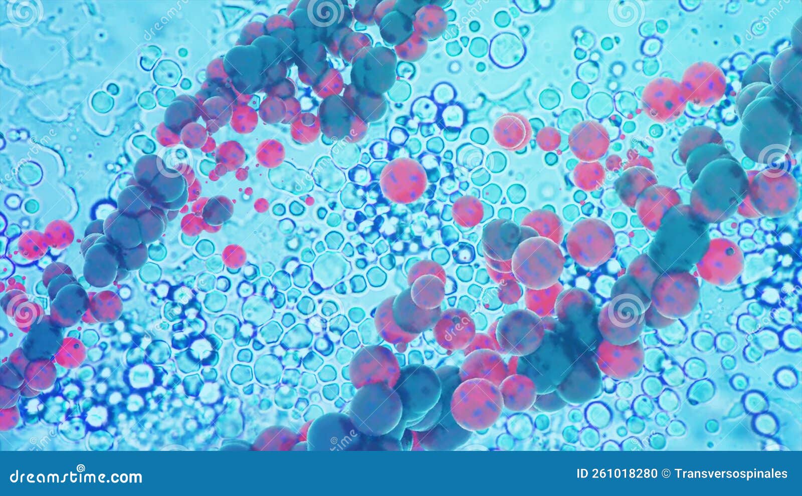 Molecules of a Chemical. Cellular Level in the Body Stock Photo - Image ...