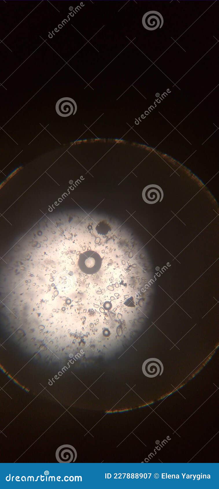 Molecules of Oxygen in the Lens of a Light Microsope Stock Image ...