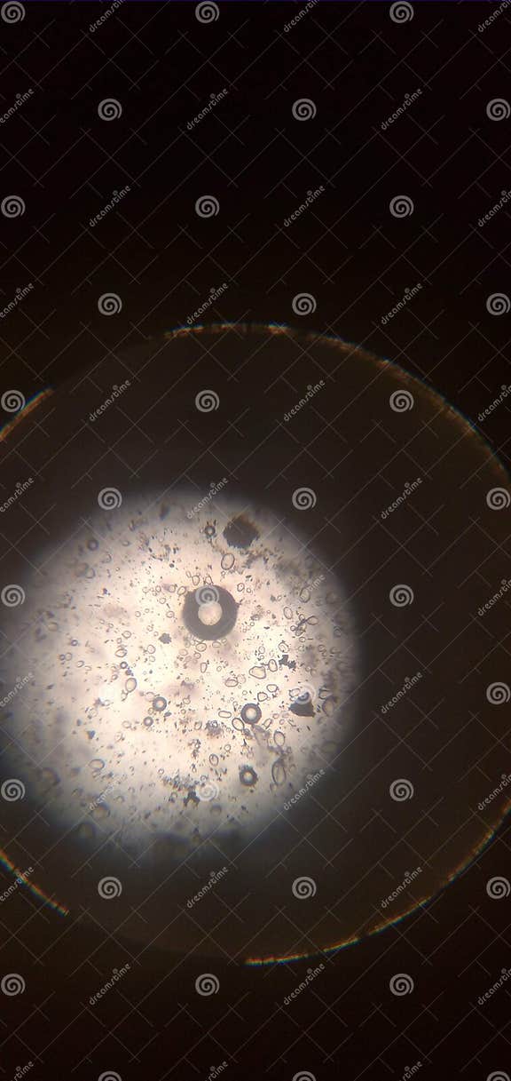 Molecules of Oxygen in the Lens of a Light Microsope Stock Image ...