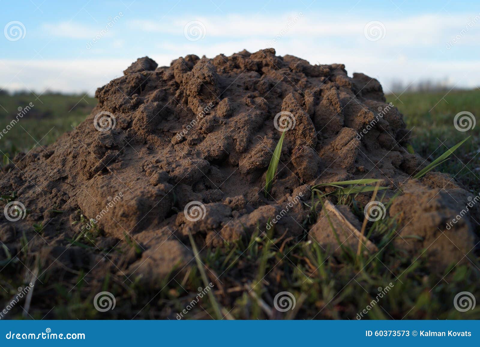 Molehill stock image. Image of tiny, landscapes, nature - 60373573