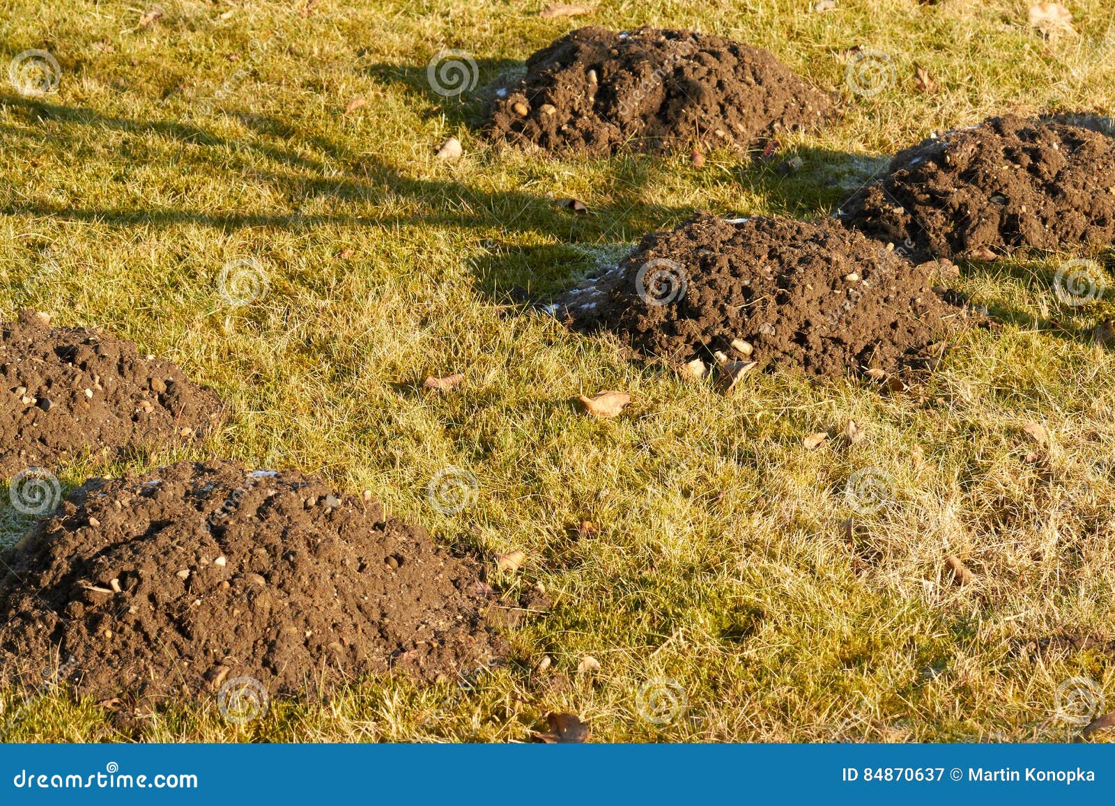Molehill stock image. Image of moleshops, horizontal - 84870637