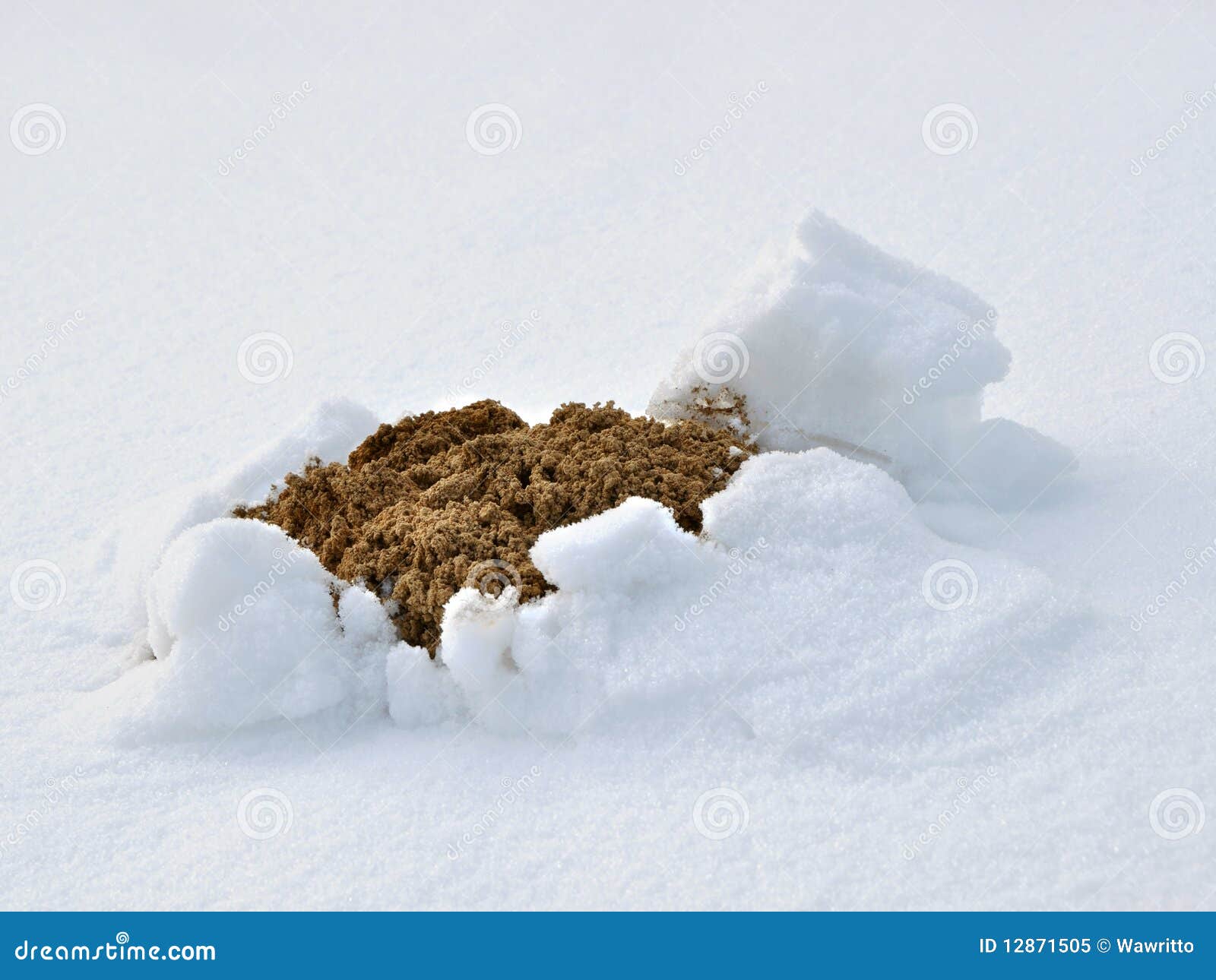 Molehill in snow stock image. Image of digging, mole - 12871505