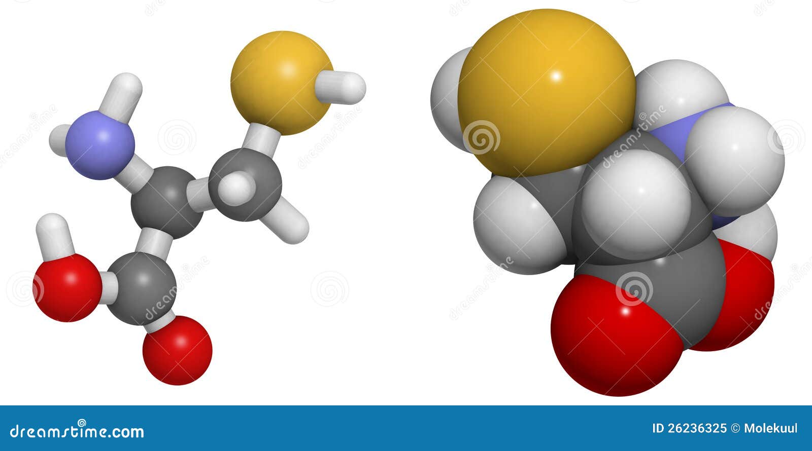 Molekyl För Cysteine (Cys, C) Stock Illustrationer - Illustration av ...