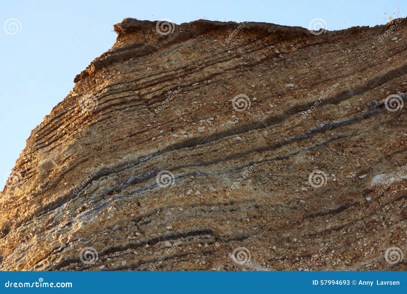 Moler on island Fur stock image. Image of island, earth - 57994693